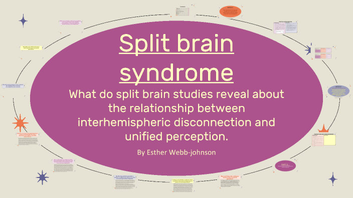 Exploring Split Brain Syndrome by esther webb-johnson on Prezi