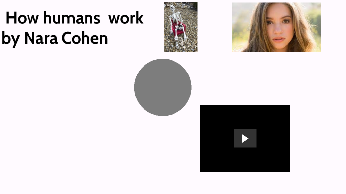 how humans work by Nara Cohen on Prezi