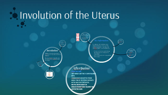 Involution of the Uterus by lorrett wellings on Prezi