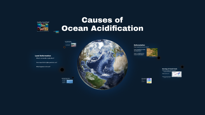 Causes of Ocean Acidification by Meera Chaudhari on Prezi