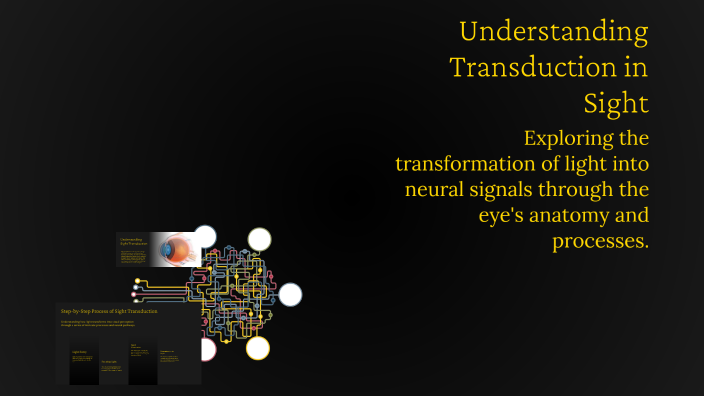 Understanding Transduction in Sight by Sofia Guerra De La Rosa ...