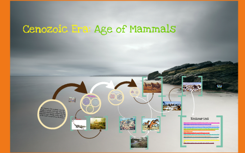 Cenozoic Era: Age of Mammals by daniela ravelo on Prezi