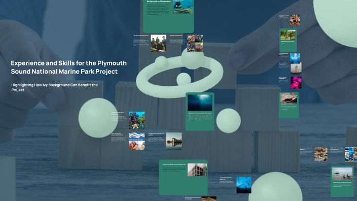 Experience and Skills for the Plymouth Sound National Marine Park ...