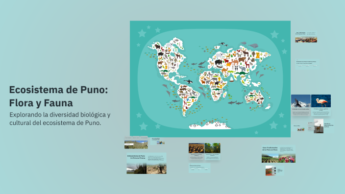 Ecosistema de Puno: Flora y Fauna by Carmen on Prezi