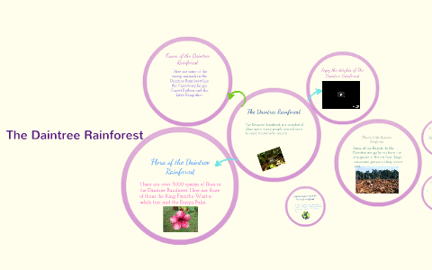 fauna of the dain tree rain forest by Hannah Shefford on Prezi