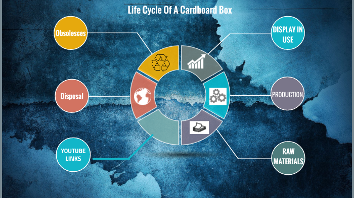 Life Cycle of a Cardboard POSD Darby.Coleman by Darby Coleman on Prezi