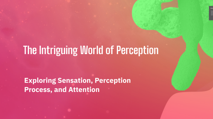 The Intriguing World of Perception by Novin Hashemi on Prezi