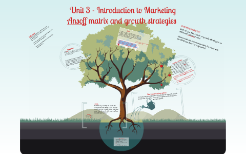 Ansoff lesson by Ben Whittingham on Prezi