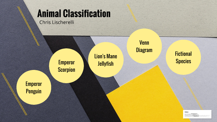 Animal Classification Project by Christopher Lischerelli on Prezi