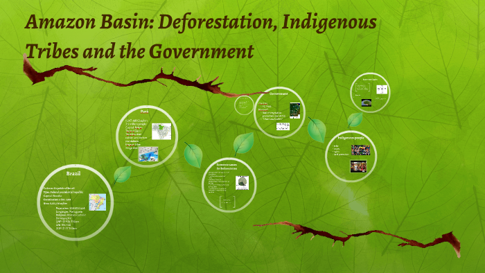 Amazon Basin: Deforestation, Indigenous Tribes and the Goven by azalea ...