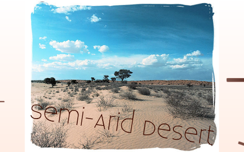 Semi-Arid Desert Biome by Sarah Headman on Prezi