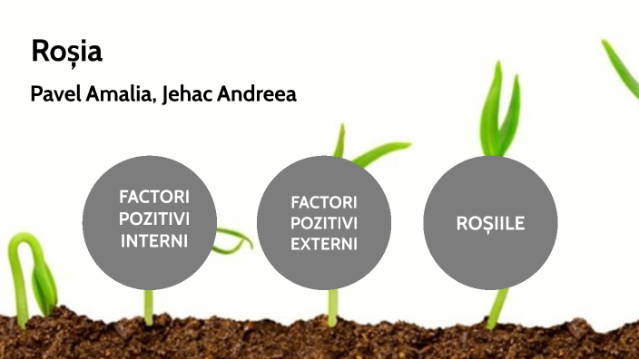 GERMINATIA SEMINTEI by ANDREEA JEHAC on Prezi