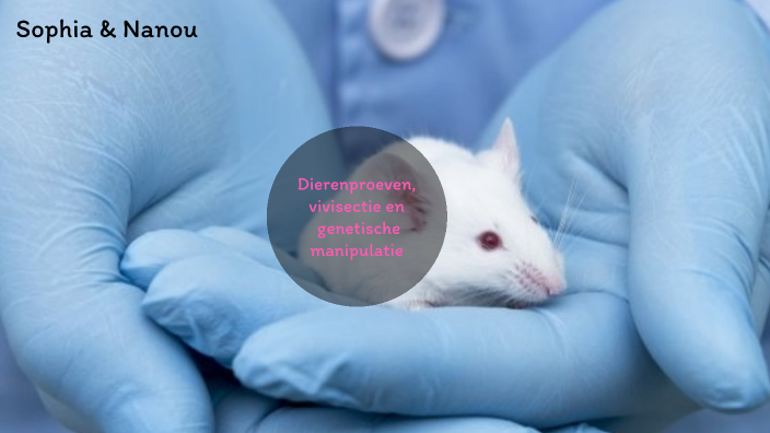 dierenproeven NCZ - Nanou en Sophia by Sophia Danneels on Prezi