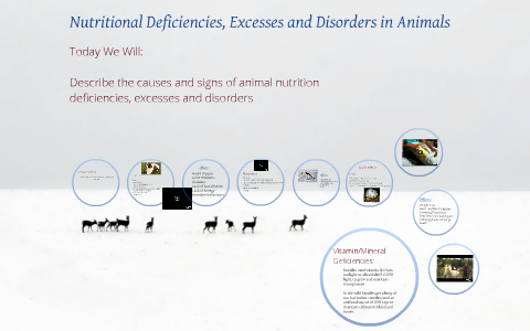 Nutritional Deficiencies, Excesses and Disorders in Animals by Hayley ...