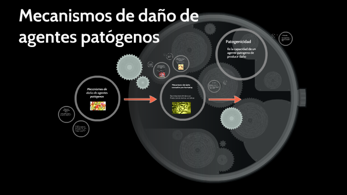 Mecanismos de daño de agentes patogenos by veronica moreno on Prezi