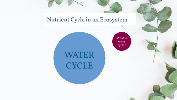 Nutrient Cycle in an Ecosystem by nur syauqina on Prezi