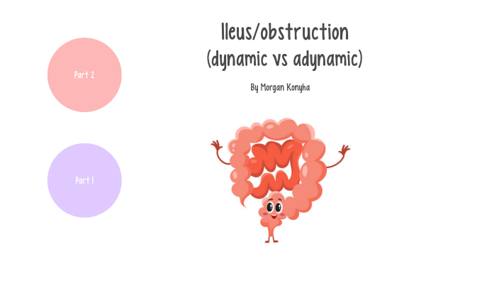 Ileus/obstruction (dynamic vs adynamic) by morgan konyha on Prezi
