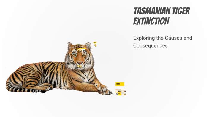 Tasmanian Tiger Extinction by Kinsley Caldwell on Prezi