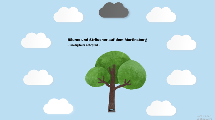 Bäume und Sträucher am Martinsberg by Nora Linder on Prezi