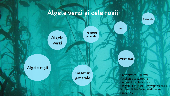 Algele verzi si algele rosii by Anamaria Botea on Prezi