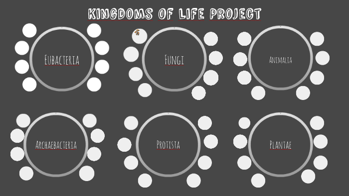 Kingdoms Of Life Project by Kristy Lau on Prezi