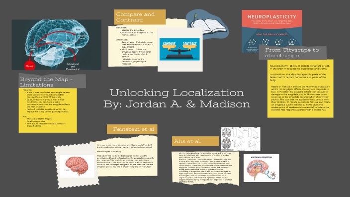 Cracking the Brain's code by madison hom on Prezi