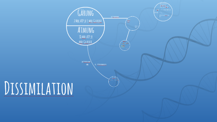 Dissimilation Einführung by Arnim Zimdars on Prezi