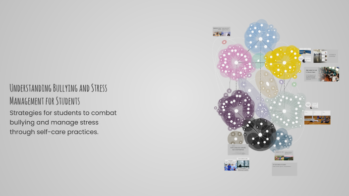 Understanding Bullying and Stress Management for Students by Sherman ...