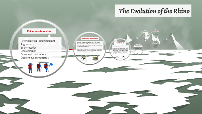 The Evolution of the Rhino by Sonia Rogozinski on Prezi