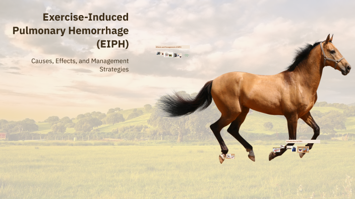 Understanding Exercise-Induced Pulmonary Hemorrhage (EIPH) by sloan halliwell on Prezi
