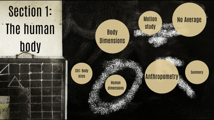 ch1: Body sizes by Bassam Hasanain on Prezi