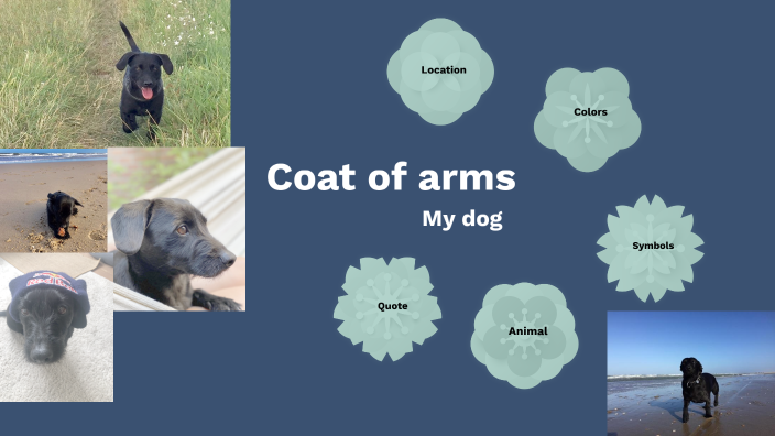 Engels coat of arms by zilver koerts on Prezi