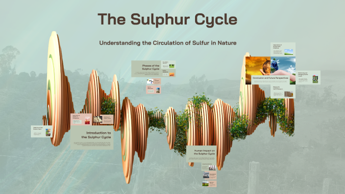 The Sulphur Cycle by Dwane Go on Prezi