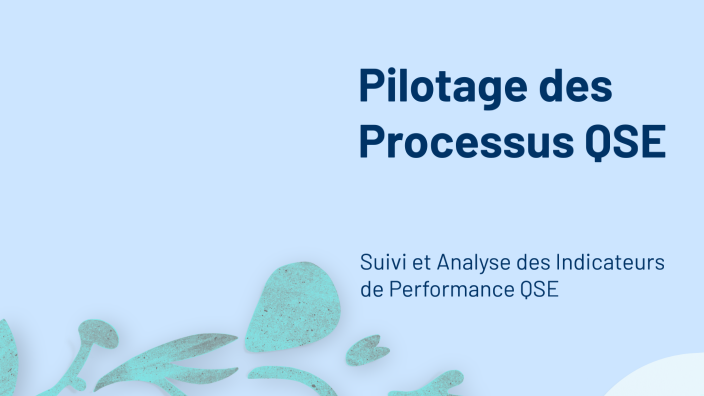 Pilotage des Processus QSE by Amadou SOW on Prezi
