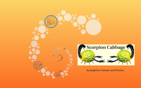 Scorpion Cabbage by Josephine Grimmer on Prezi