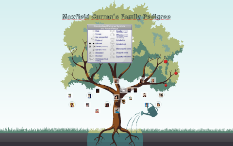Maxfield Curran's Family Tree by Maxfield Curran on Prezi