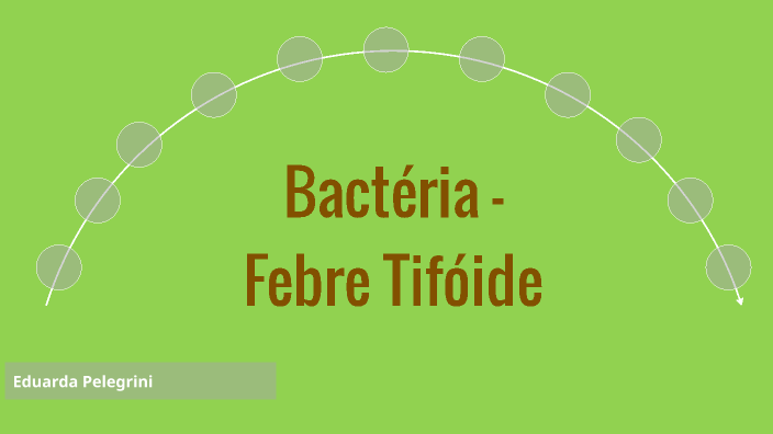 Bactéria - FEBRE TIFÓIDE by EDUARDA PELEGRINI on Prezi