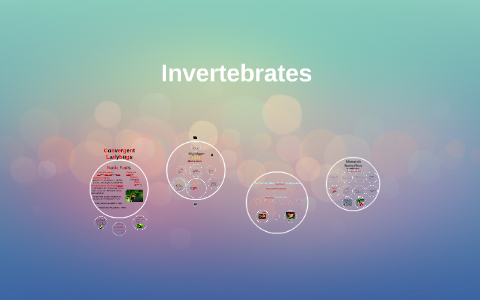Science Project: Invertebrates by Marina Bradley on Prezi