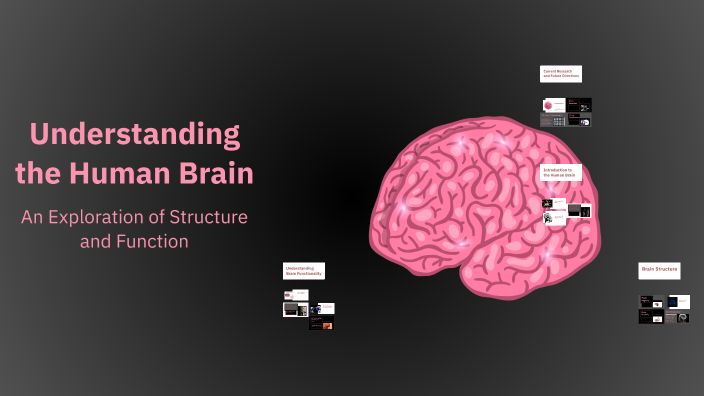 Understanding the Human Brain by Elizabeth Clement on Prezi