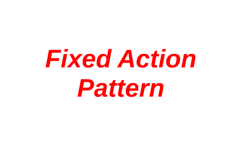 Fixed Action Pattern by Christian Aitken on Prezi