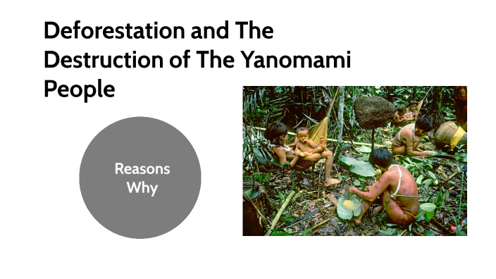 Deforestation and the Destruction of The Yanomami People by Mario Ruta ...