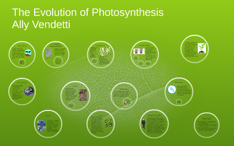 The Evolution of Photosynthesis by Ally Vendetti