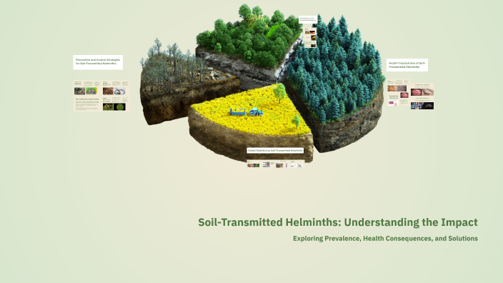 Soil-Transmitted Helminths: Understanding the Impact by Amina ...