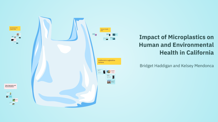 Impact of Microplastics on Health and Environment by Bridget Haddigan ...