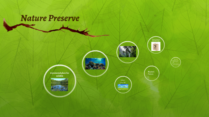 Nature Preserve by Alex Capobianco on Prezi