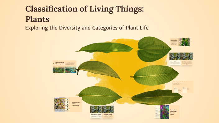 Classification of Living Things: Plants by KAREN ANN GAYUSO on Prezi