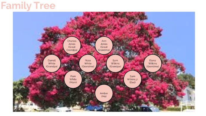 Sociology Family Tree by amber wilkins on Prezi