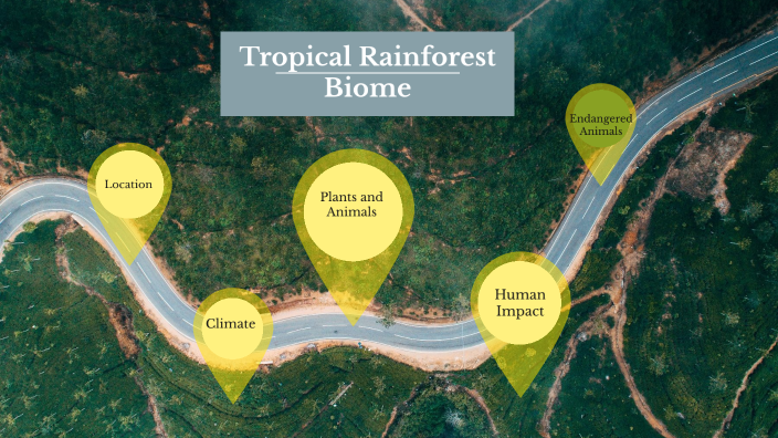 Human Impact on Rainforest Biome by Jentera McKiver on Prezi
