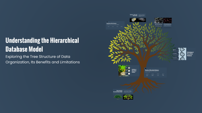 Understanding the Hierarchical Database Model by TheFalcon _98 on Prezi