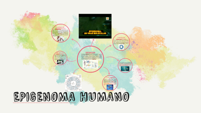 EPIGENOMA HUMANO by ale vera on Prezi
